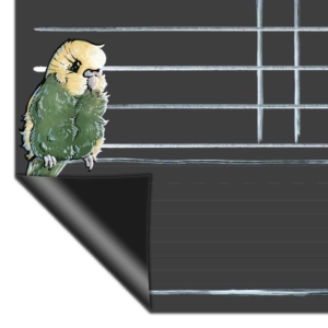 Tropical Bird Magnetic Backed Chore Charts for Jobs and Rewards