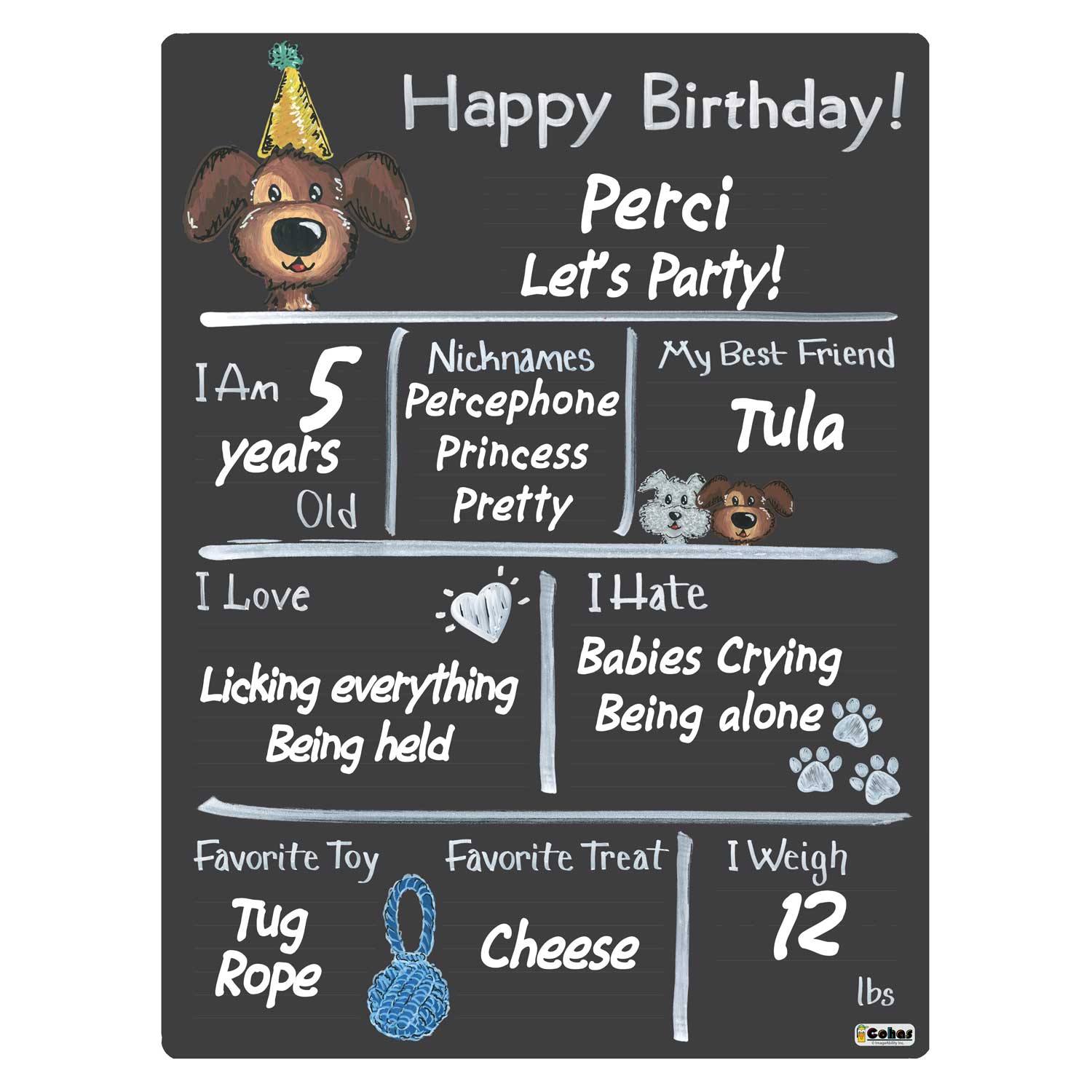 Party Theme Birthday Milestone Board for Dogs for Photo Shoots