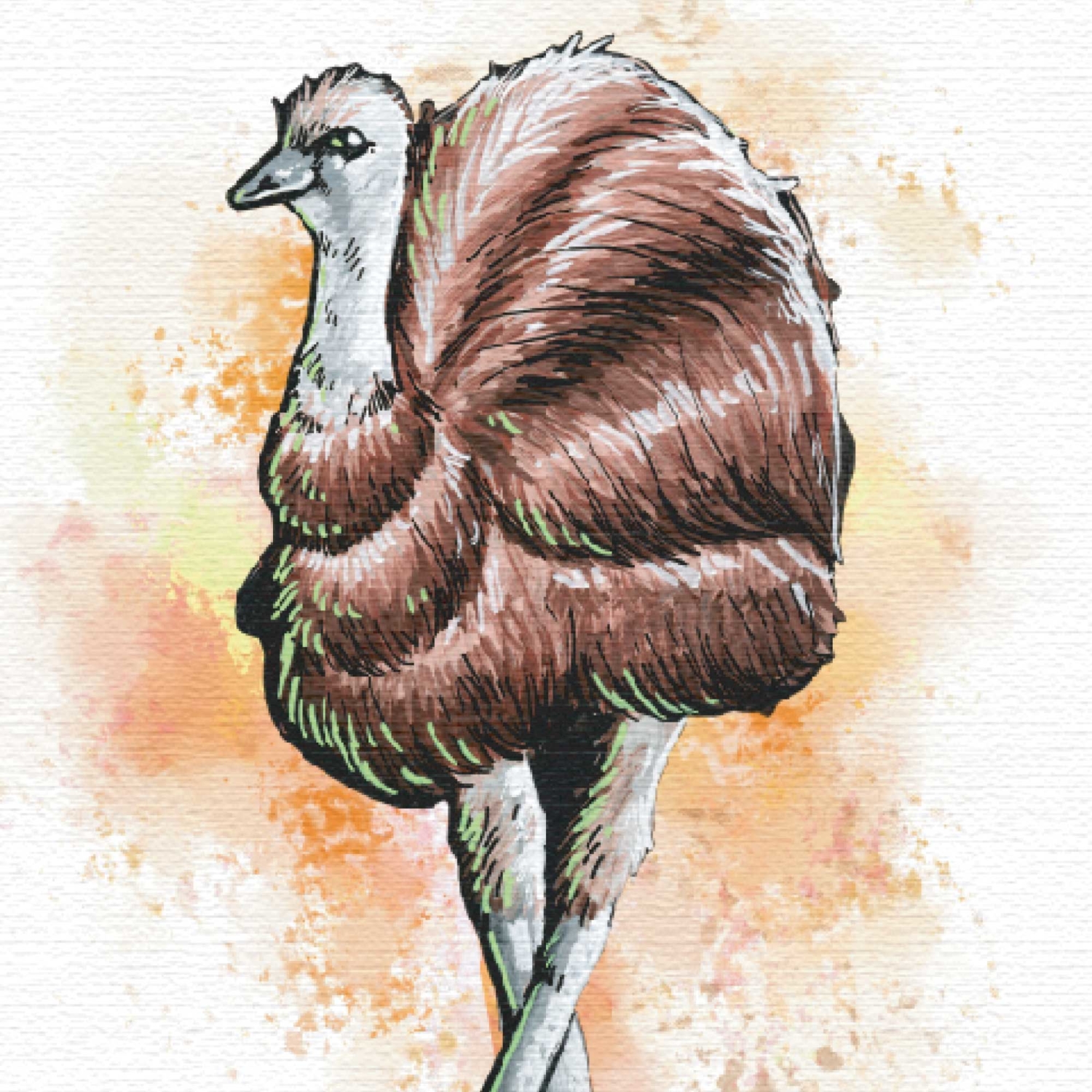 Outback Animal Wall Art Prints to Match Nursery or Bedroom Decor