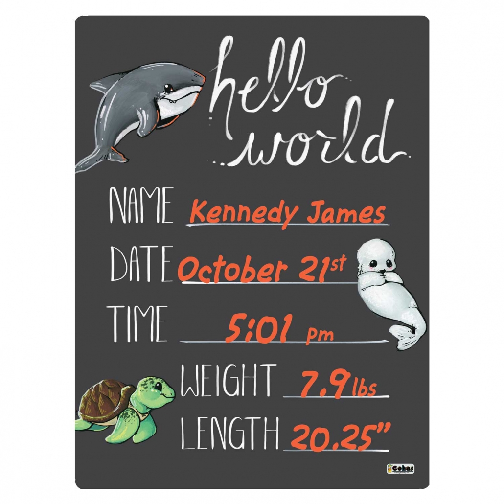 Ocean Theme NICU Milestone Boards for Newborn and Neonatal Stays